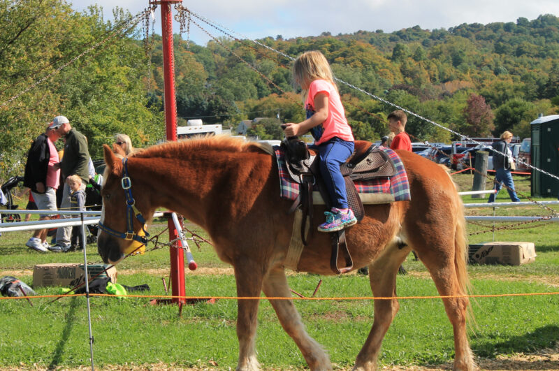 What to Do – LaFayette Apple Festival